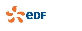 remote.edftrading.com